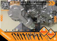 China New diesel Engine Fuel Injection Pump VE Fuel Pump 0460424523 2890390 for sale