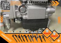 China New diesel Engine Fuel Injection Pump VE Fuel Pump 0460424523 2890390 for sale
