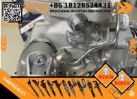 China New diesel Engine Fuel Injection Pump VE Fuel Pump 0460424523 2890390 for sale