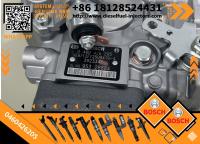 China Fuel Injection Pump 0460426193 0460426205 0460426211 New Fuel Pump Other Truck Parts for sale