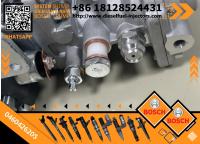 China Fuel Injection Pump 0460426193 0460426205 0460426211 New Fuel Pump Other Truck Parts for sale