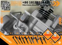 China Diesel Fuel Injection Pump 5254973 0460426495 VE6/12F750R1115 for for sale