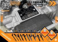 China Diesel Fuel Injection Pump 5254973 0460426495 VE6/12F750R1115 for for sale