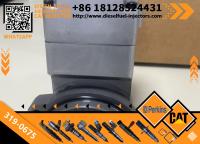 China Excavator Parts Fuel Injection Pump 319-0675 319-0676 319-0678 319-0677 10R-8899 10R8899 253-4339 2534339 254-4357 2544357 for sale