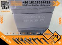 China Excavator Parts Fuel Injection Pump 319-0675 319-0676 319-0678 319-0677 10R-8899 10R8899 253-4339 2534339 254-4357 2544357 for sale