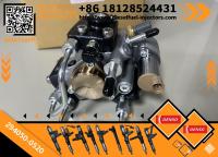China HP4 Common Rail Pump 294050-0520 294050-0521 294050-0501 33100-52701 diesel Fuel Injection for sale