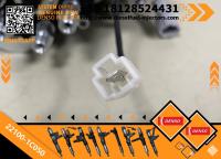 China VE Fuel Injection Pump 196000-2300 196000-2301 22100-1C050 VE6/10F1900RND230 for for sale