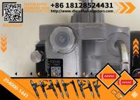 China Diesel Engine Fuel HP3 Pump 294000-1442 294000-1441 for for sale