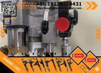 China Diesel Engine Fuel HP3 Pump 294000-1442 294000-1441 for for sale