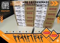 China Truck Engine Parts Common Rail Diesel Fuel Injector 095000-9560 0950009560 1465A257 for sale