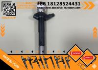 China Common Rail Fuel Injector 295050-1760 295700-0130 295050-1680 095000-7500 095000-6250 095000-6632 095000-5031 for Parts for sale