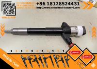 China Common Rail Fuel Injector 295050-1760 295700-0130 295050-1680 095000-7500 095000-6250 095000-6632 095000-5031 for Parts for sale
