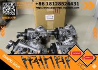 China HP5S-0020 Fuel Injection Pump 299000-0020 1J508-50500 1J508-50501 for for sale