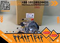 China High Quality Diesel Fuel Injection Pump 294000-1220 2940001220 for for sale