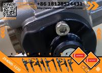 China High Quality Diesel Fuel Injection Pump 294000-1220 2940001220 for for sale