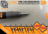 China Truck Engine Parts Common Rail Diesel Fuel Injector 295050-0971 8-98163524-1 2950500971 8981635241 for sale