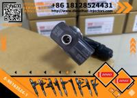 China Truck Engine Parts Common Rail Diesel Fuel Injector 295050-0971 8-98163524-1 2950500971 8981635241 for sale