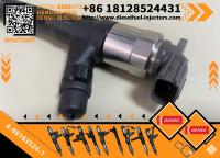 China Truck Engine Parts Common Rail Diesel Fuel Injector 295050-0971 8-98163524-1 2950500971 8981635241 for sale