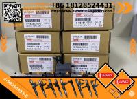 China New Diesel Fuel Injector TDDANSO 095000-0660 8-98284393-0 for Diesel Engine with 6 Months Warranty for sale