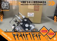 China Diesel Fuel Pump 294050-0041 294050-0042 294050-0043 294050-0044 294050-0040 for sale