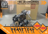 China Diesel Fuel Pump 294050-0041 294050-0042 294050-0043 294050-0044 294050-0040 for sale