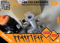 China High Quality Excavator 094000-0480 094000-0484 Fuel Injection for sale