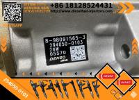 China Diesel Engine Parts Pump Plunger 8-98091565-1 8-98091565-4 294050-0103 for for sale