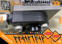 China Diesel Engine Parts Pump Plunger 8-98091565-1 8-98091565-4 294050-0103 for for sale