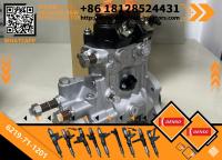 China 6219-71-1201 094000-0633 Fuel Injection Pump for for sale