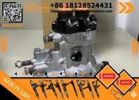 China 6219-71-1201 094000-0633 Fuel Injection Pump for for sale