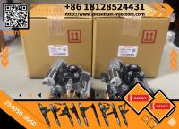 China Common Rail Fuel Injection Pump 294050-0059 294050-0060 294050-0302 294050-0063 RE534156 RE546126 RE519597 for sale