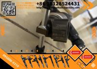 China 095000-8310 for 3.9L Engine Diesel Fuel Injector 33800-45700 095000-5550 095000-8310 DCRI105550 for sale