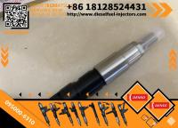 China 095000-8310 for 3.9L Engine Diesel Fuel Injector 33800-45700 095000-5550 095000-8310 DCRI105550 for sale