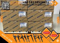 China Diesel Fuel Common Rail Injectors 095000-0562 6218-11-3100 6218-11-3101 Excavator PC300-7 PC400-7 PC450-8 PC600-6 Injector for sale