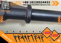China Common Rail Injector 095000-8100 0950008100 095000-8871 VG1096080010 for DENSO for SINOTRUK HOWO A7 for sale
