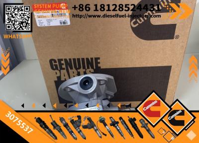 China High Quality Engine Spare Parts Fuel Injection Pump 3075537 3631721 for for sale