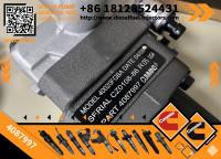 China QSK23 Diesel Engine Spare Part Fuel Injection Pump 4307242 4087997 4076753 2897672 for sale