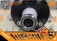 China 4BT3.9 A130 Engine Fuel Injection Pump 4940838 BHF4P120005 4P122 Diesel Pump for sale