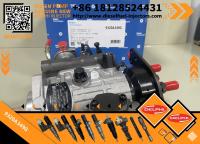 China DP210 Fuel Pump 9320A340G, 9320A349G, 9320A341G, 9320A344G for for sale