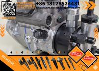 China Stable Fuel Supply Fuel Injection Pump 9323A260G 9320A613G for sale