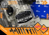 China Engine Fuel Injection Pump 2644H031 9320A217H 9323A350G 932A533H 9320A225G for sale