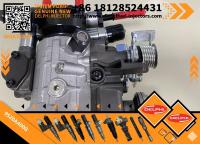 China Excavator Part Fuel Injection Pump 2644C317 9520A400G 2644C317/22 for for sale