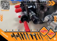 China Original Diesel Fuel Pump 9520A424G 2644C311 9520A430 for Perkins for sale