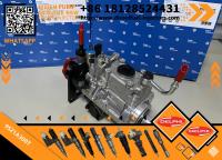 China Fuel Injection Pump 9320A521T 8523A592T 8924A490T 9521A300T 8920A131T 8924A491T 9320A851T for sale