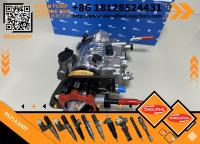 China Fuel Injection Pump 9320A521T 8523A592T 8924A490T 9521A300T 8920A131T 8924A491T 9320A851T for sale