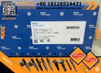 China High Quality Genuine New Diesel Fuel Injection Pump 9422A000A 33100-4X400 28269520 for for sale