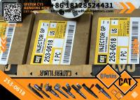 China Truck Engine Parts Common Rail Diesel Fuel Injector 253-0618 10R-2772 2530618 10R2772 for C15 C18 C32 for sale