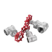 China Water Oil Flow Gate Valve with BSPP End Connection and Sturdy Stainless Steel Design for sale