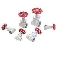 China Nominal Pressure PN1.0-32.0MPa Industrial Stainless Steel 304/316 Bsp Threaded Gate Valve for sale