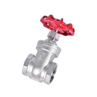 China Stainless Steel DN20 Gate Valve for Water Industrial Usage Threaded SS304 for sale